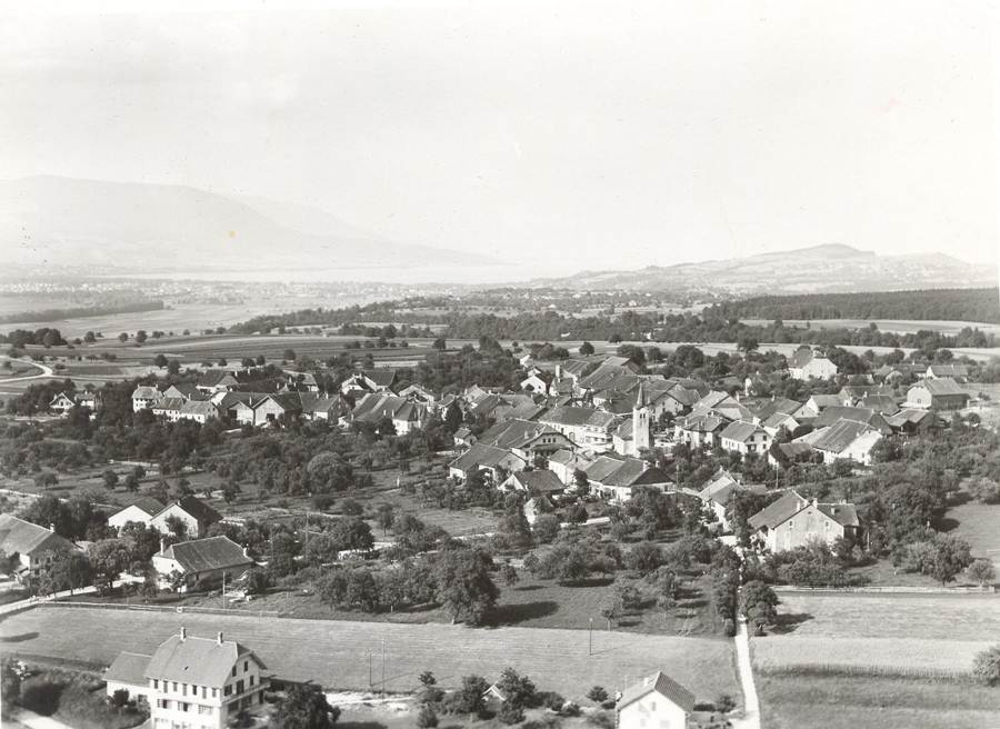 Histoire – Suchy