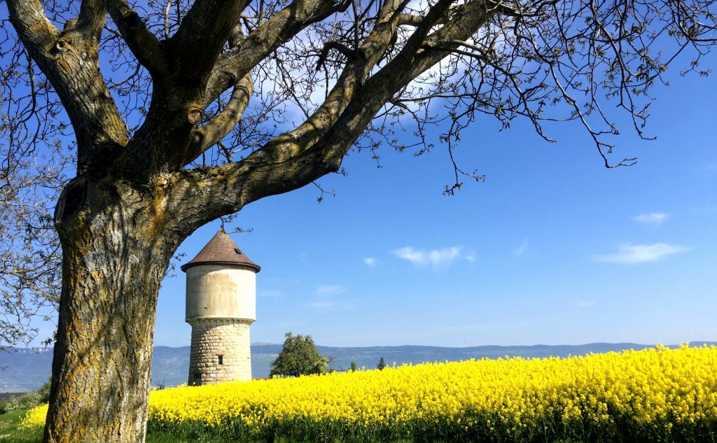 Suchy au printemps – Suchy